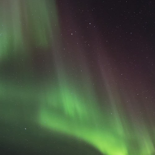 CVRL – Crossing – wavemob