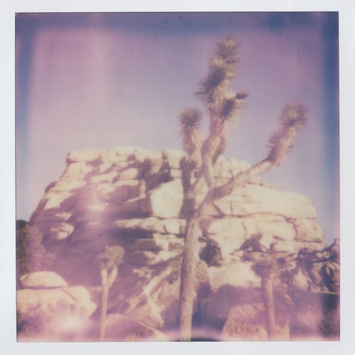 haven – blackbeatles – wavemob